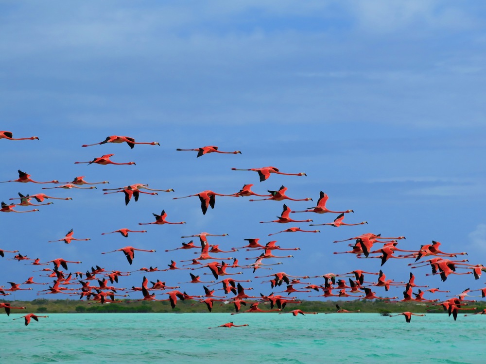 Anegada (British Virgin Islands) - seasonedtraveler.ca